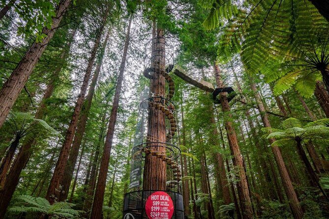 Exclusive Day Trip from Te Puia to Wine Tasting and Redwoods - FAQ