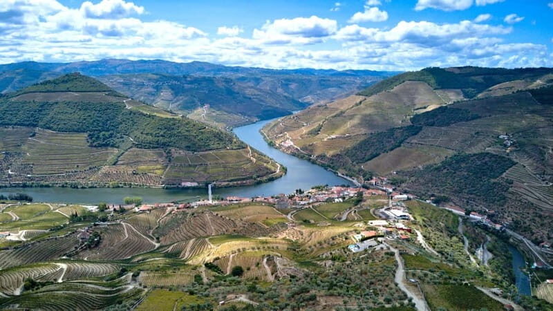Exclusive Douro Valley: 3 Wineries, 9 Wine Tastings & Lunch - Final Thoughts: Is This Tour for You?