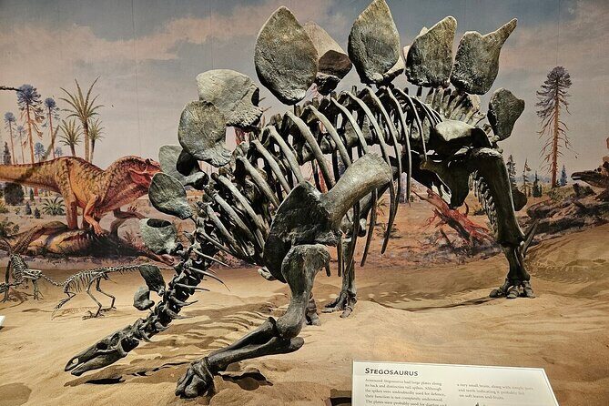 Exclusive Drumheller Private Tour from Calgary - Starting the Day: From Calgary to Drumheller