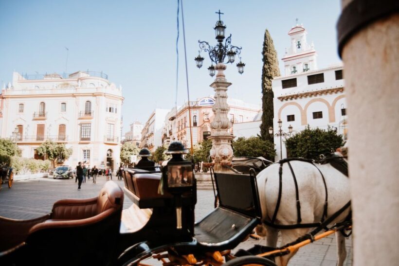 Exclusive Essential Seville Tour - Final Thoughts: Who Will Love This Tour?