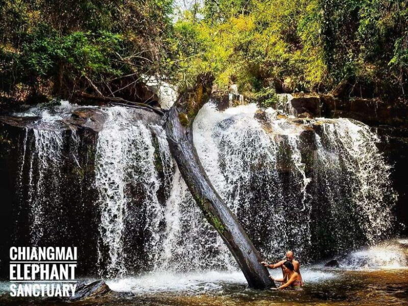 Exclusive experience half day with family giant animals - Who Will Love This Tour?