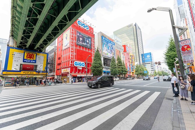 Exclusive Experience: Tailored Anime & Culture Tour in Akihabara - Highlights of the Tour