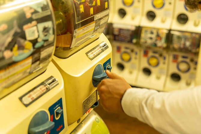 Exclusive Experience: Tailored Anime & Culture Tour in Akihabara - Immersion in Anime Culture