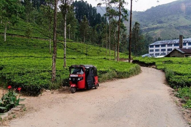 Exclusive : Explore Countryside of Nuwara Eliya by Tuk-Tuk - Why Choose This Tour?