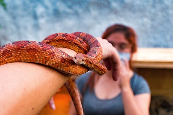 EXCLUSIVE Floating Adventure of Xochimilco - small groups - Practical Details and Tips