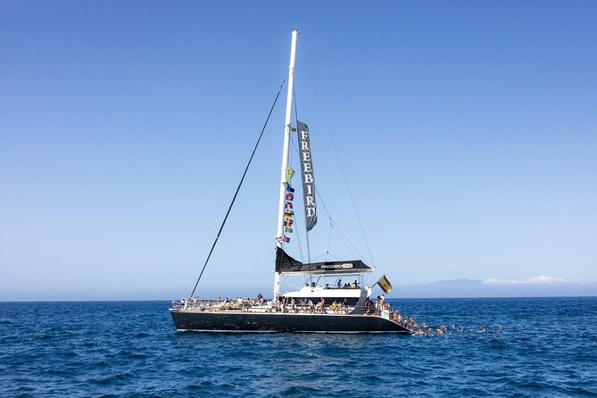 Exclusive Freebird Catamaran Whale & Dolphin to Masca From South - Analyzing the Value and Practicality