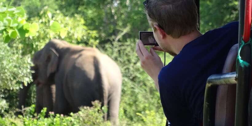 Exclusive : Full-Day Leopard Safari Yala With Picnic Lunch - Key Points