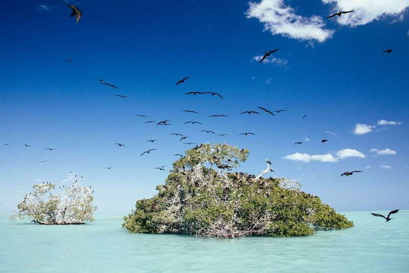 Exclusive Full Day Nature Expedition in Sian Ka'an - In-Depth Itinerary Breakdown