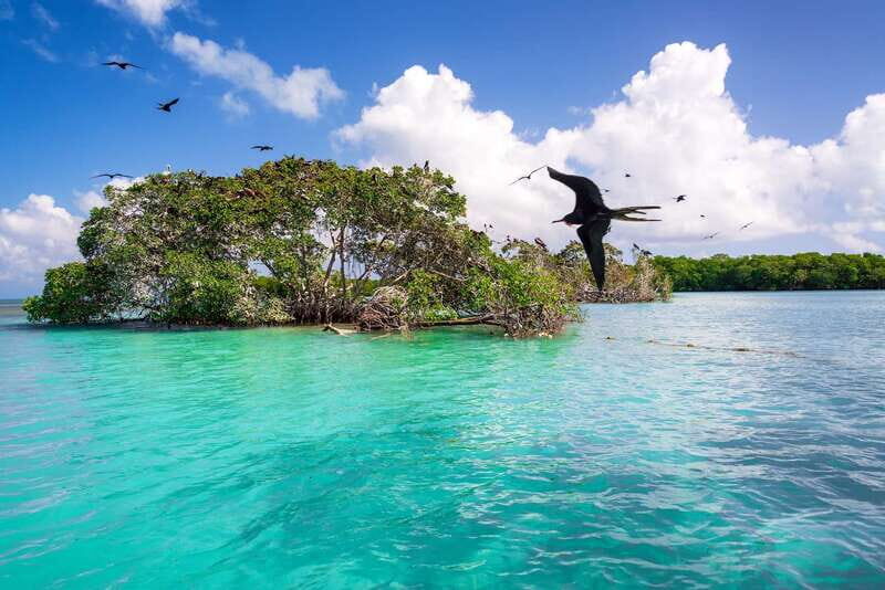 Exclusive Full Day Nature Expedition in Sian Ka'an - Authentic Experiences and Potential Drawbacks