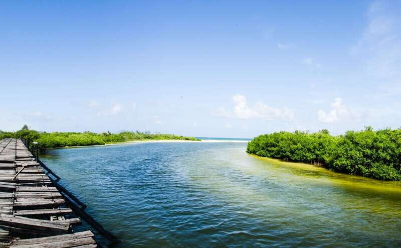 Exclusive Full Day Nature Expedition in Sian Ka'an - Final Thoughts