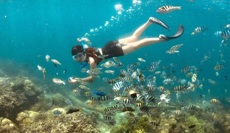 Exclusive Gili Nanggu, Sudak, and Kedis Tour Featuring GoPro - Gili Sudak: Seafood and Scenic Splendor