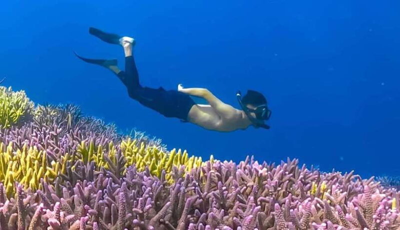 Exclusive Gili Nanggu, Sudak, and Kedis Tour Featuring GoPro - Gili Bedis (Kedis): A Tiny Oasis for Relaxation