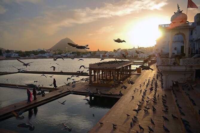 Exclusive: Guided Pushkar Day Trip from Jaipur - What Makes This Tour Stand Out