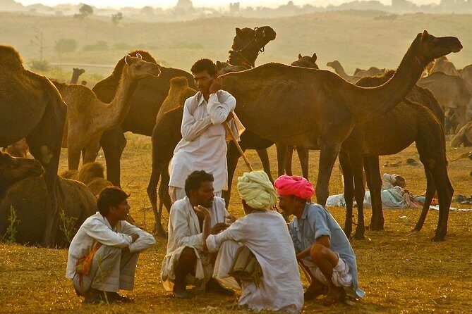 Exclusive: Guided Pushkar Day Trip from Jaipur - Analyzing the Cost and Value