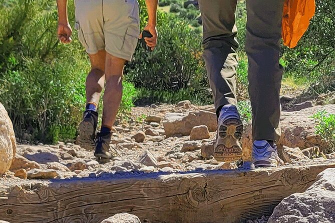 Exclusive: Happy Cactus Tour to Apache Trail & Superstition Mtn - Taking in the Sonoran Desert Landscape