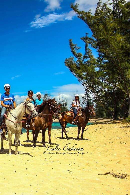 Exclusive Horseback Riding Adventure Countryside & Beach - Comparing Similar Experiences