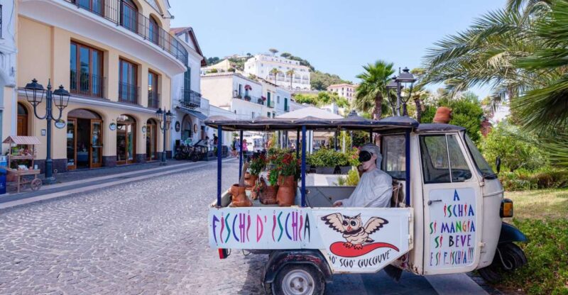 Exclusive Ischia Tour from Sorrento with Local Guide - Key Points