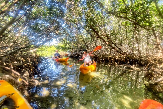 Exclusive Kayak Expedition: Exploring the Mangroves to Shell Key - Final Thoughts
