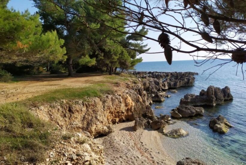 Exclusive Kefalonia Gems - Culture, Nature & Flavors - The Itinerary in Detail