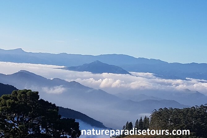 Exclusive knuckles Camping Tour from kandy - An In-Depth Look at the Knuckles Camping Experience