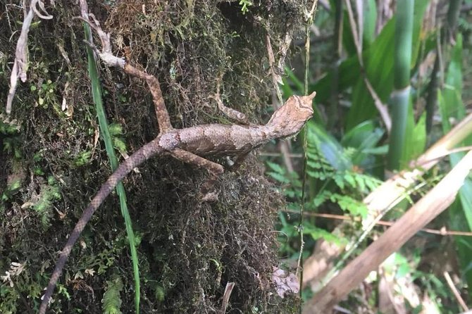 Exclusive knuckles Camping Tour from kandy - Final Thoughts: Is This Tour Right for You?