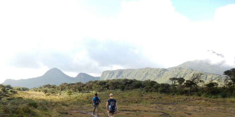 Exclusive knuckles Camping Tour from kandy - Why Choose the Knuckles Camping Tour?