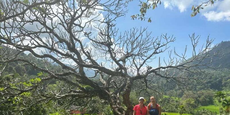 Exclusive knuckles Camping Tour from kandy - The Sum Up: Who Will Get the Most From This Tour?