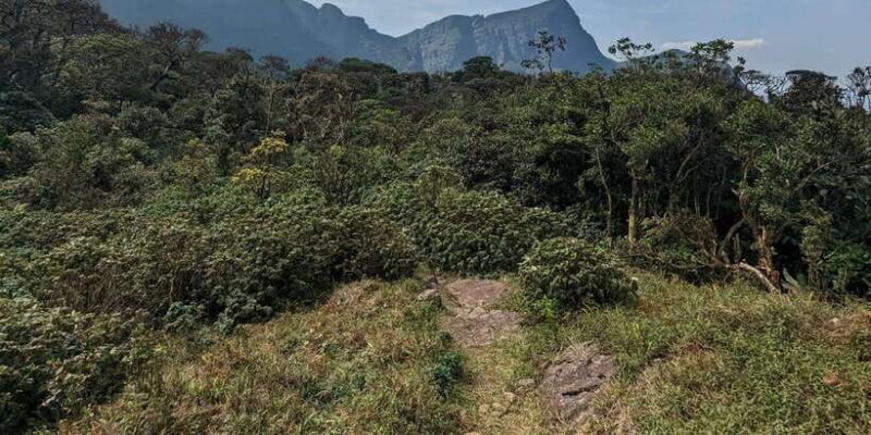 Exclusive knuckles Camping Tour from kandy - FAQ