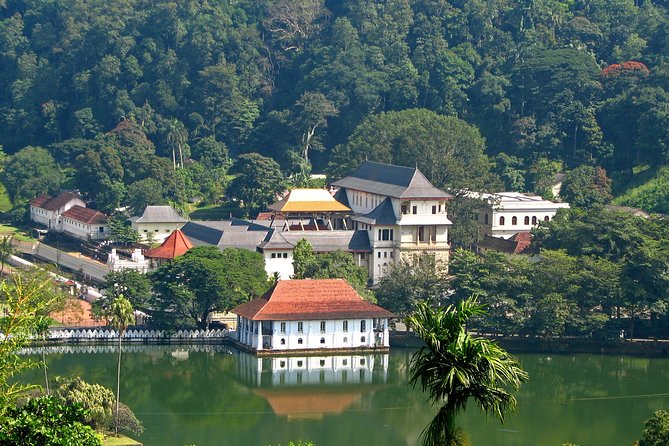 Exclusive : Last Kingdom Private Day Tour in Kandy - Reflection on Value and Comfort