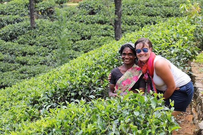 Exclusive : Last Kingdom Private Day Tour in Kandy - The Sum Up