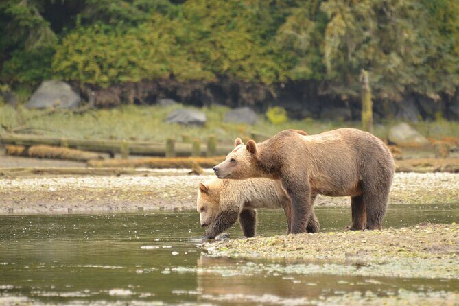 Exclusive Locations Private Bear Viewing - Final Thoughts