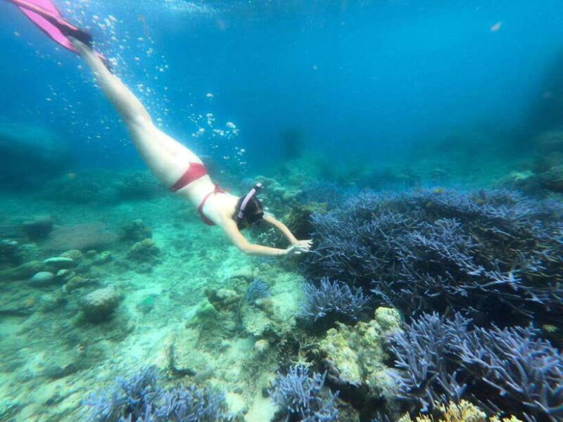 Exclusive Lombok Fishing & Snorkeling Tour Across 4 Gilis - Final Thoughts