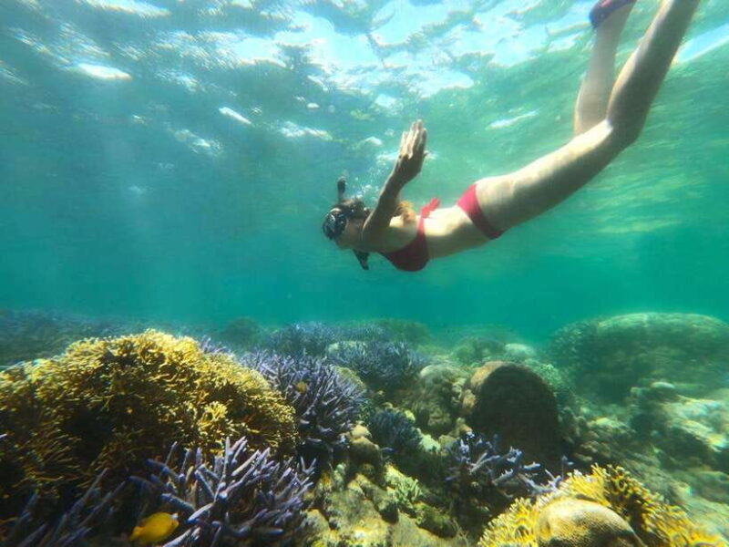 Exclusive Lombok Fishing & Snorkeling Tour Across 4 Gilis - FAQ