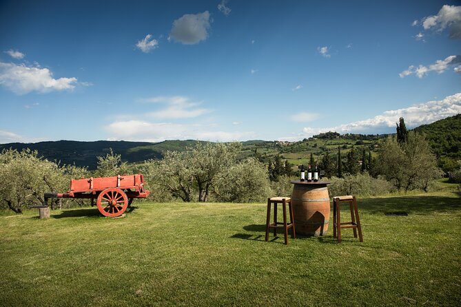 Exclusive Lunch Tour and Wine tasting at a Chianti Classic Winery - The Winery Tour and Tasting Experience