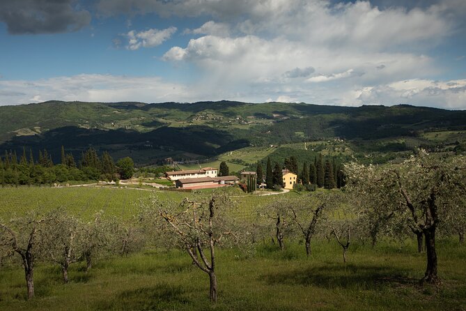 Exclusive Lunch Tour and Wine tasting at a Chianti Classic Winery - FAQ