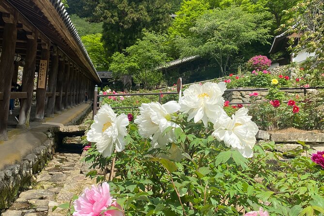 Exclusive Luxury Day Tours Serene Nara - Tour Accessibility and Participation