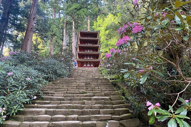 Exclusive Luxury Day Tours Serene Nara - Booking Information