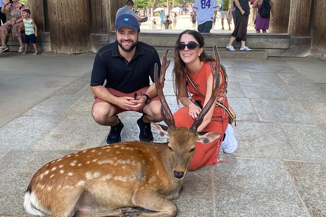 Exclusive Luxury Day Tours Serene Nara - Common Questions