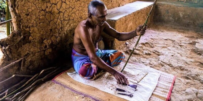 Exclusive Madu River Safari & Turtle Farm Tour from Colombo - A Detailed Look at the Itinerary