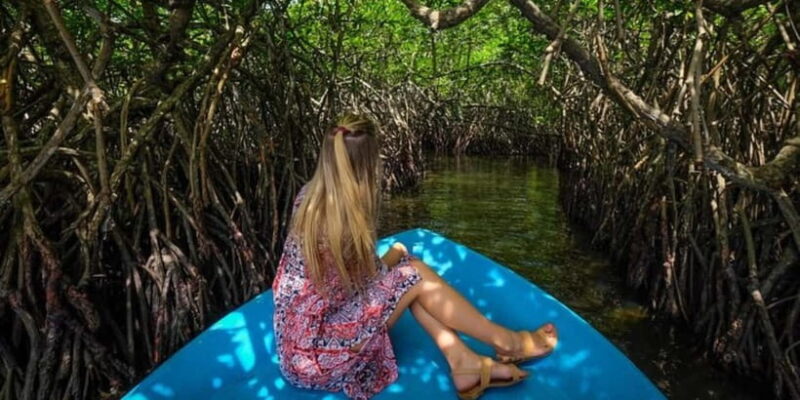 Exclusive Madu River Safari & Turtle Farm Tour from Colombo - What Travelers Are Saying