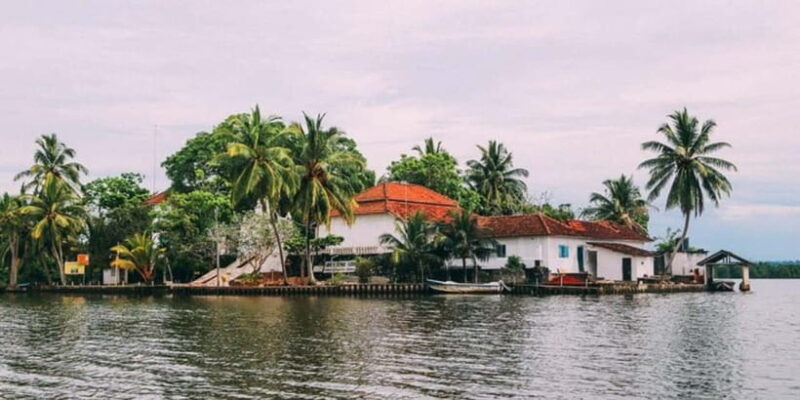 Exclusive Madu River Safari & Turtle Farm Tour from Colombo - Practical Tips for Your Trip