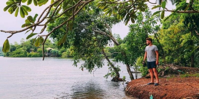 Exclusive Madu River Safari & Turtle Farm Tour from Colombo - Is This Tour Right for You?