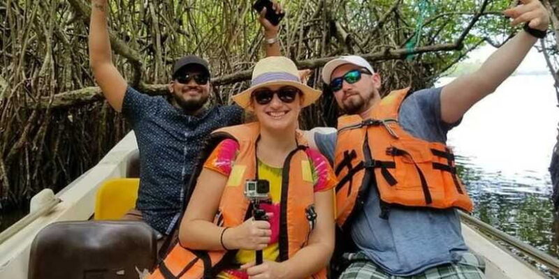 Exclusive Madu River Safari & Turtle Farm Tour from Colombo - The Sum Up