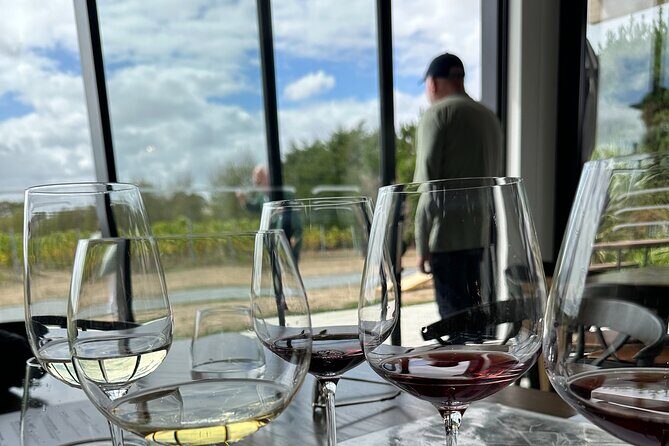 Exclusive Martinborough Wine Tour - The Itinerary: What to Expect