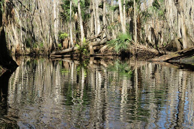 Exclusive Nature Escape Kayak Adventure on Blackwater Creek - FAQ