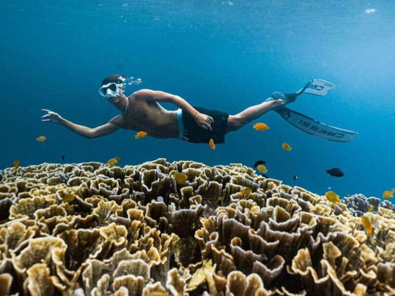 Exclusive One-Day Tour to Lombok's Pink Beach and 3 Gilis - Key Points