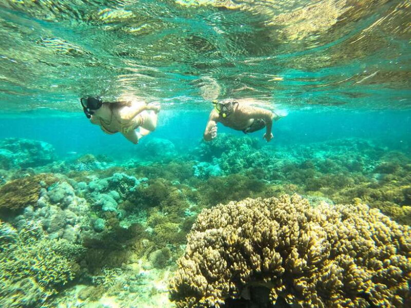 Exclusive One-Day Tour to Lombok's Pink Beach and 3 Gilis - Breaking Down the Itinerary