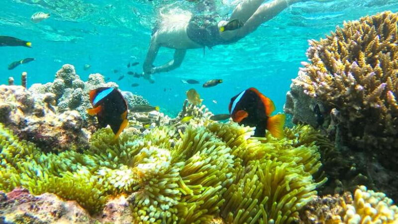 Exclusive One-Day Tour to Lombok's Pink Beach and 3 Gilis - Practical Tips for Travelers