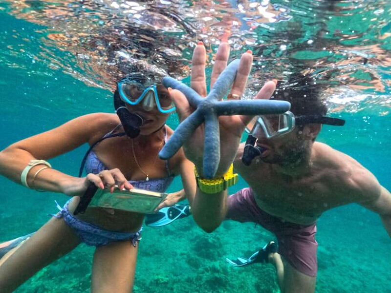 Exclusive One-Day Tour to Lombok's Pink Beach and 3 Gilis - FAQ