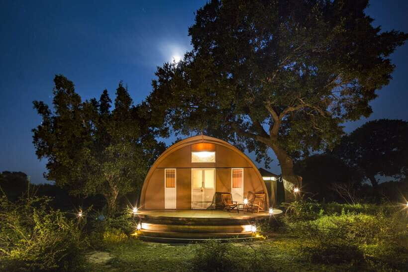 Exclusive Over Night Glamping Experience and Nature Trail - The Accommodation: Treehouses and Camping